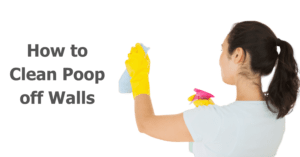 How to Clean Poop off Walls Like a Pro | The Ultimate Guide