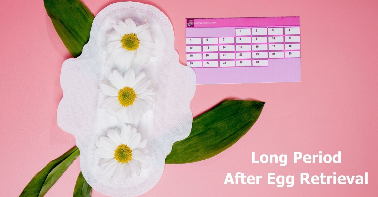 Long Period After Egg Retrieval: Here’s Why & What to Do