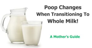 Poop Changes When Transitioning To Whole Milk - When to Worry?