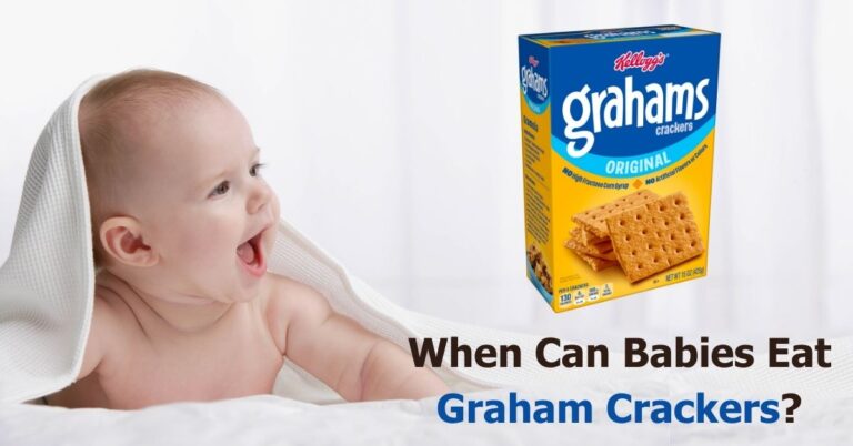 When Can Babies Eat Graham Crackers Safely & How to Introduce It 👼🍪