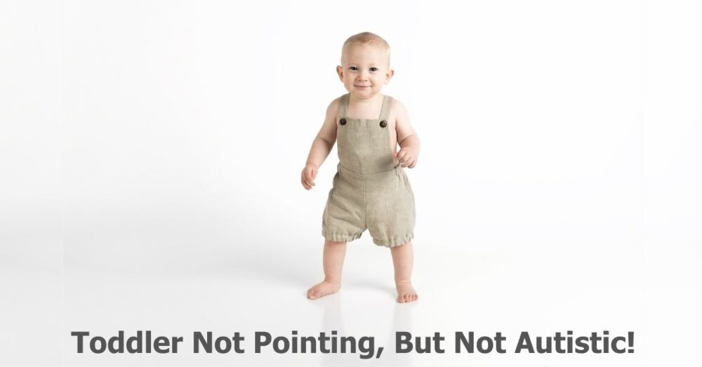 Toddler Not Pointing But Not Autistic - Should I Worry?