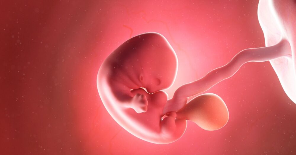 What Is Posterior Placenta? Implications & Insights