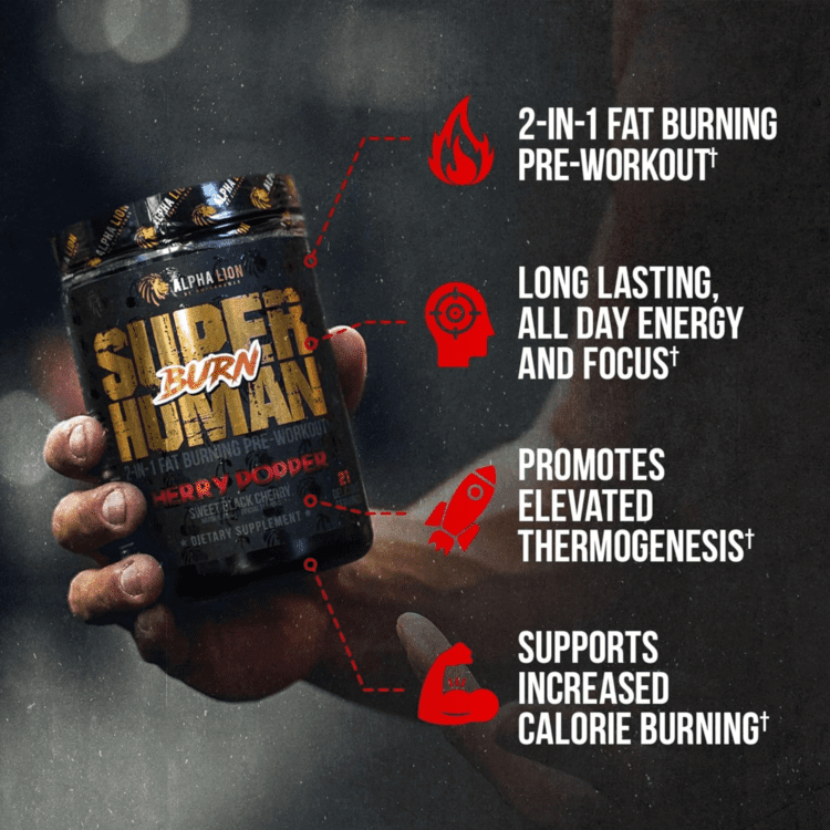 10 Best Fat Burner For Belly Fat | Results-Driven Choices