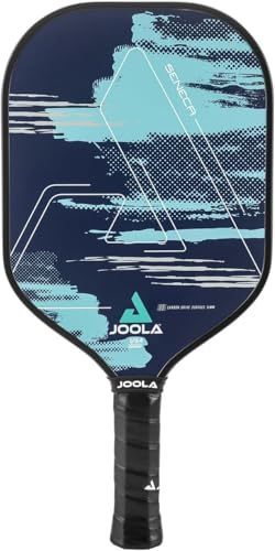 Joola Essentials Pickleball Paddle Review | Durable, Comfort