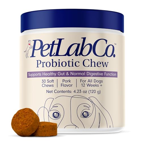 Petlab Probiotic Chews Reviews | Long-Term Gut Health Benefits