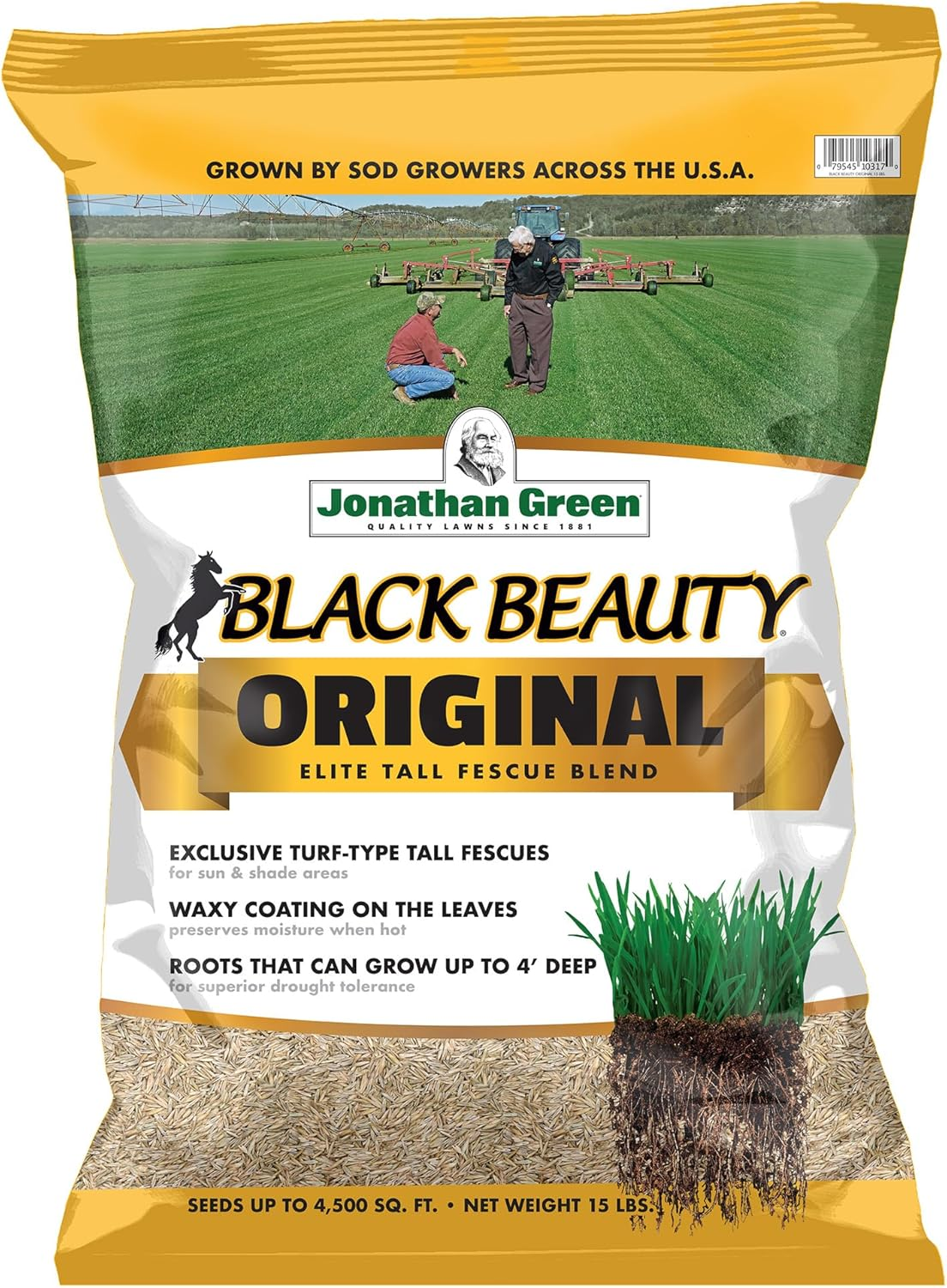 Black Beauty Grass Seed Review | Drought-Tolerant, Deep Roots