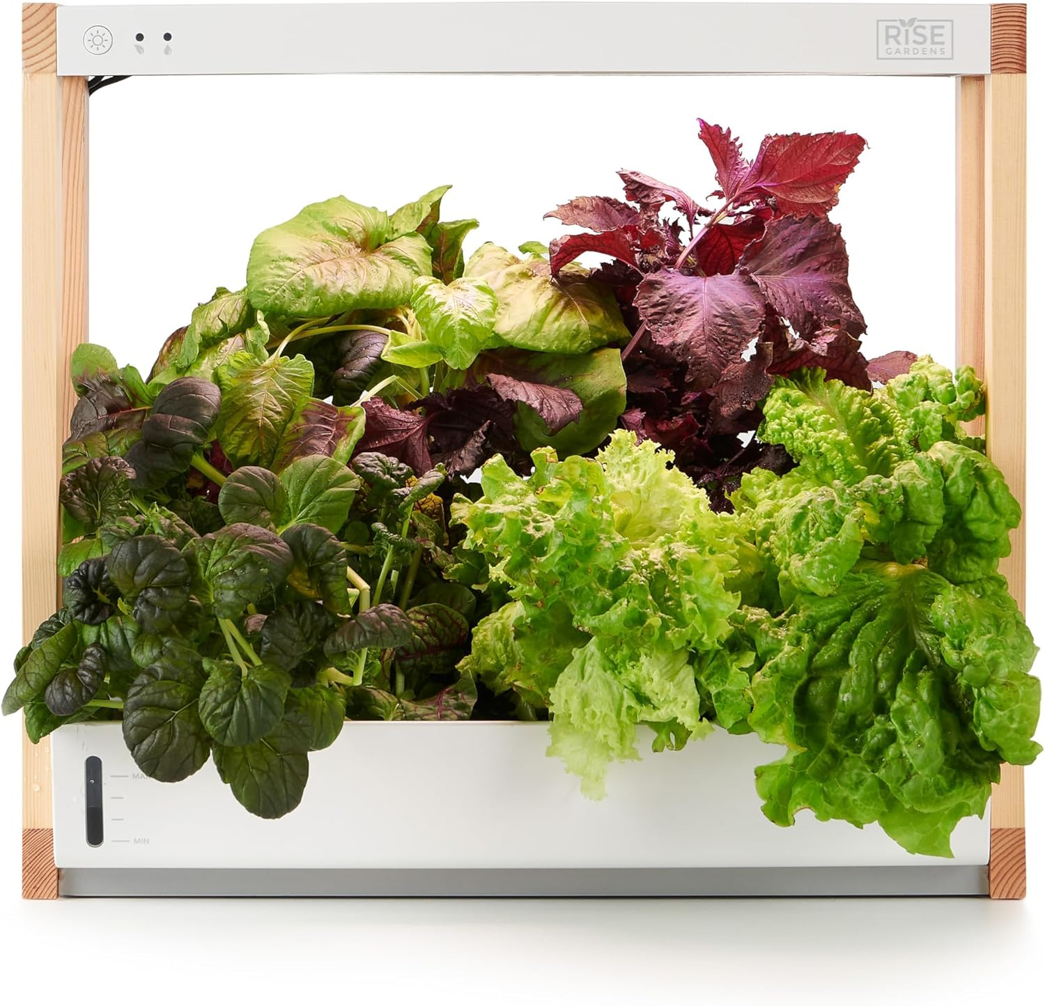 Rise Garden Review | Smart & Stylish Indoor Gardening