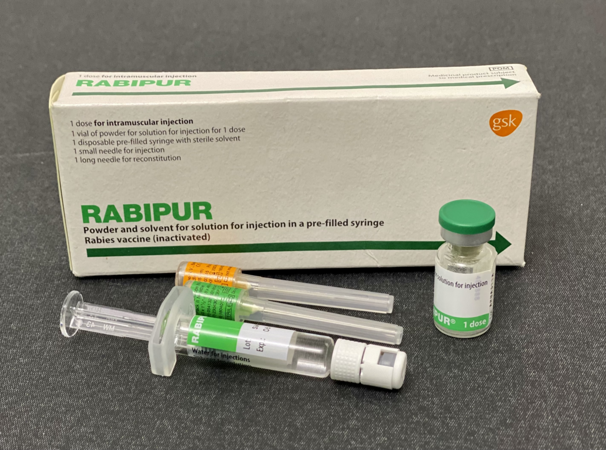 How Long Is Rabies Vaccine Good For In Humans? | Critical Insights