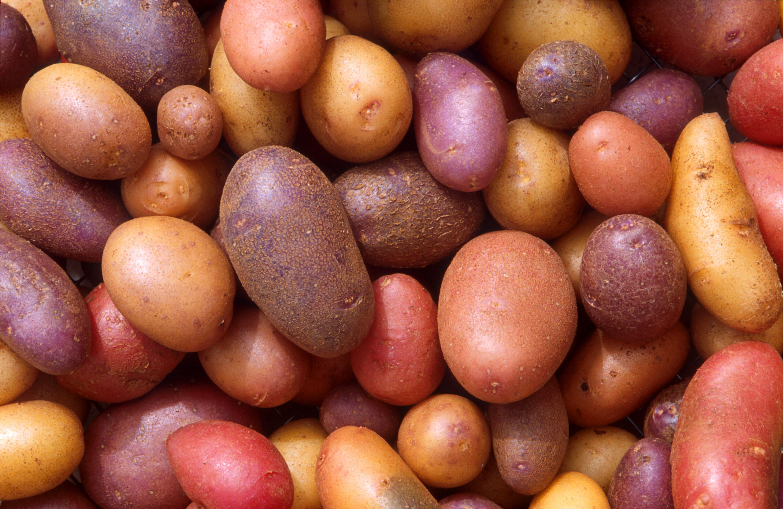 How Much Potassium Does A Potato Have? | Nutritional Powerhouse