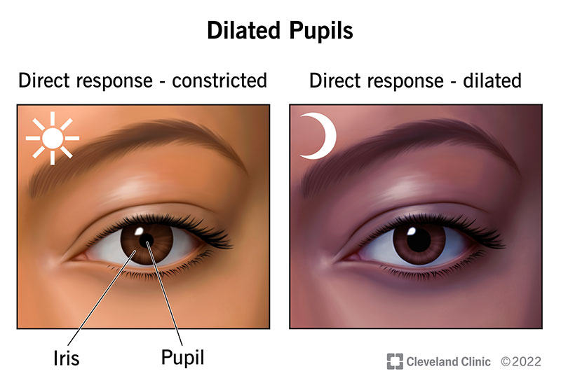 How To Make Your Pupils Bigger Naturally? | Eye-Opening Tips