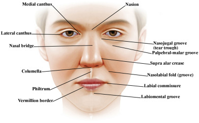 What to use to tighten face skin? | Youthful Glow